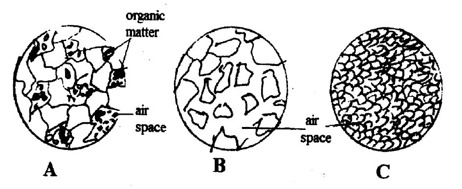 BECE 2021 Integrated Science Past Question